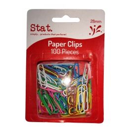 Paper Clip Small Pack of 100